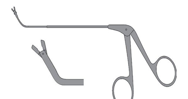 Double Spoon Biopsy Forceps - Oval Shape - Medicta Instruments